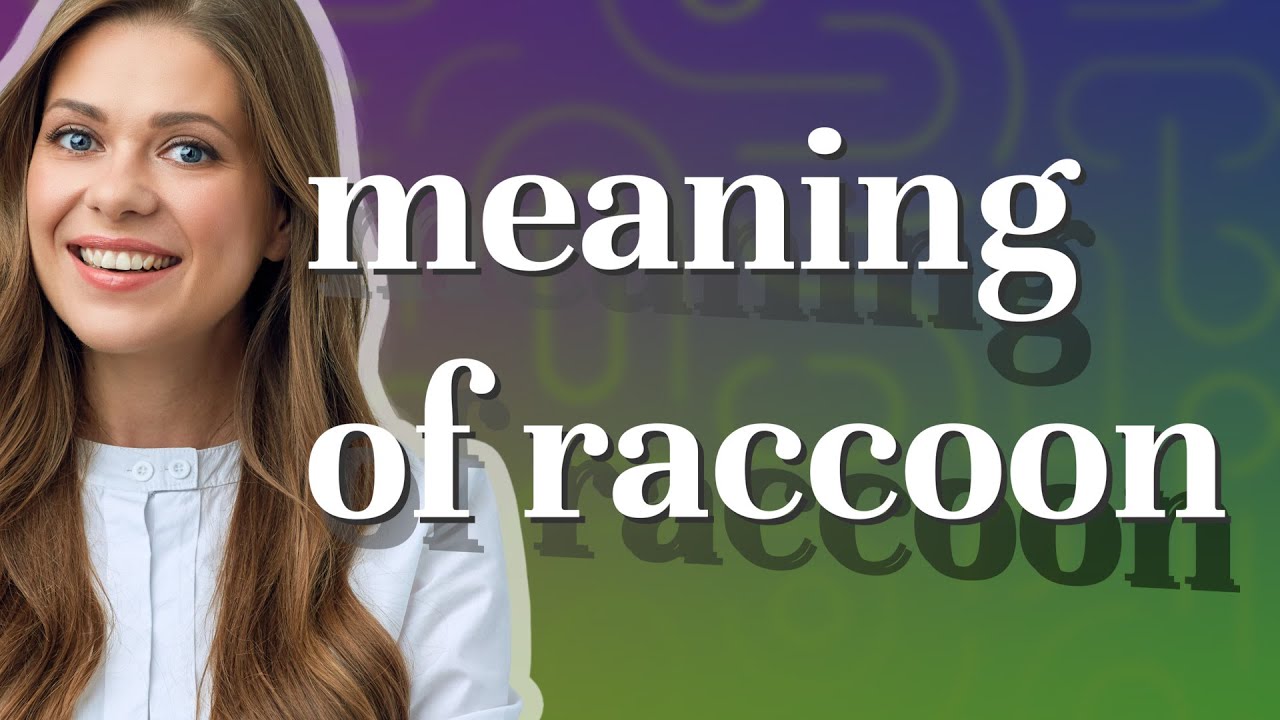 Raccoon | meaning of Raccoon - YouTube
