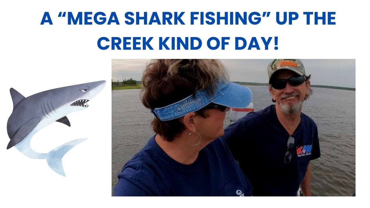 It's "A MEGA SHARK FISHING" Up The Creek Kind of Day! (COMEDY FISHING ...