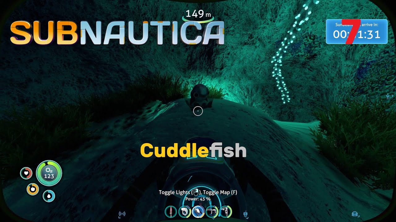 Subnautica | Cuddlefish [7] - YouTube