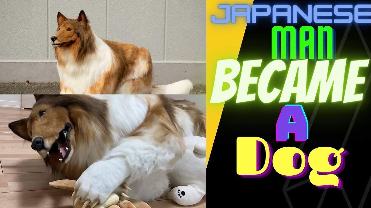 Japanese Man transforms into a dog | Japanese Man Becomes a Dog | faizi ...