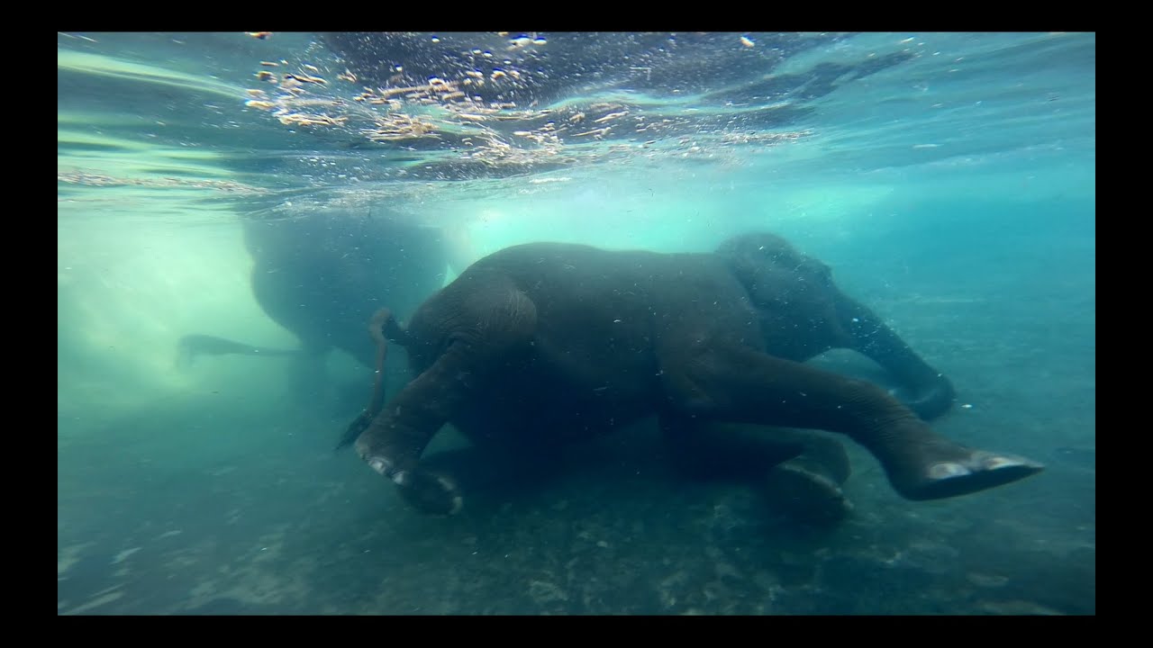 See Burma and Anjalee from a different perspective! - YouTube