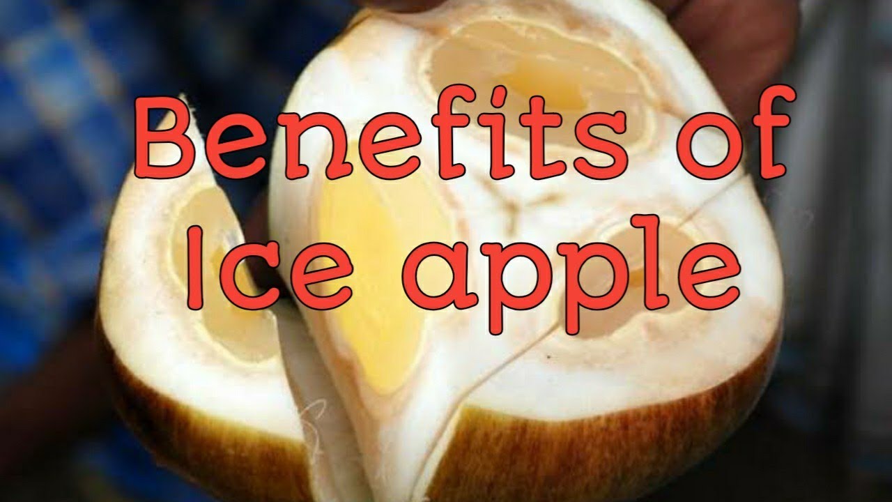 Benefits Of Ice Apple Nongu In Tamil YouTube benefits-of-ice-apple-nongu-in-tamil-youtube