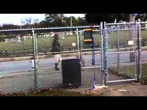 Pit bull(diesel) jumps 6' fence - YouTube