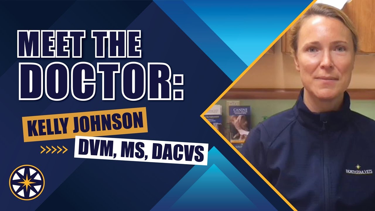 Meet Dr. Kelly Johnson - YouTube