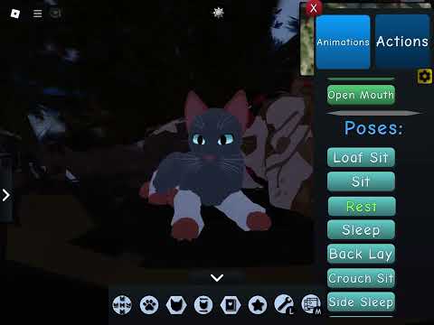 Mouse raised by cats?! WCUE - YouTube