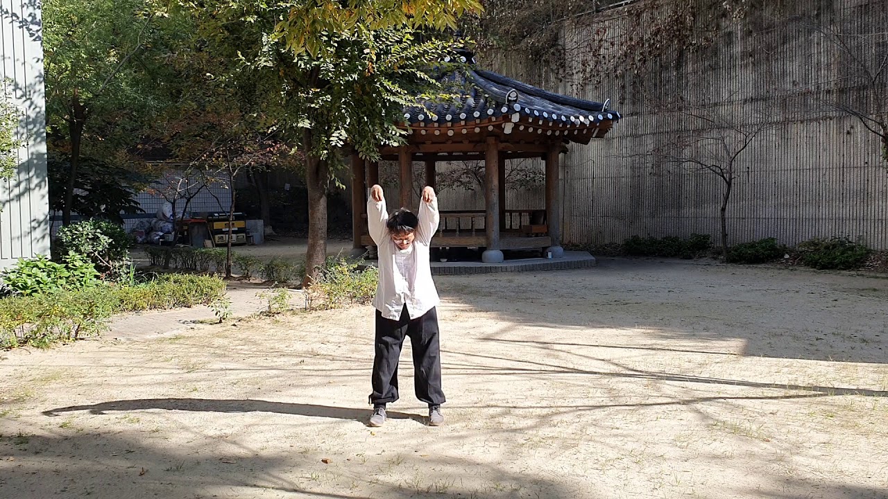 Hua Tuo Five Animals' Frolics: Stage 1.화타오금희 제1장.五禽戲, Hua Tuo Wu Qin Xi ...