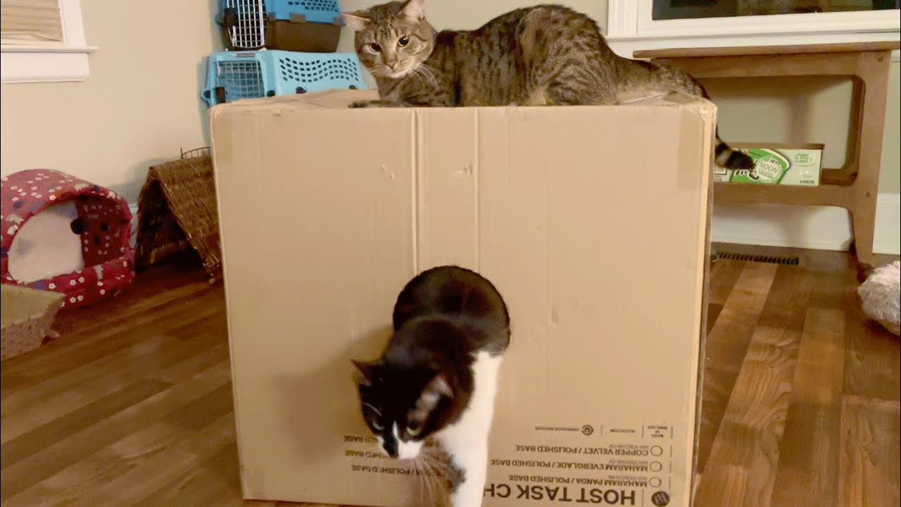 44 The Giant Box - YouTube