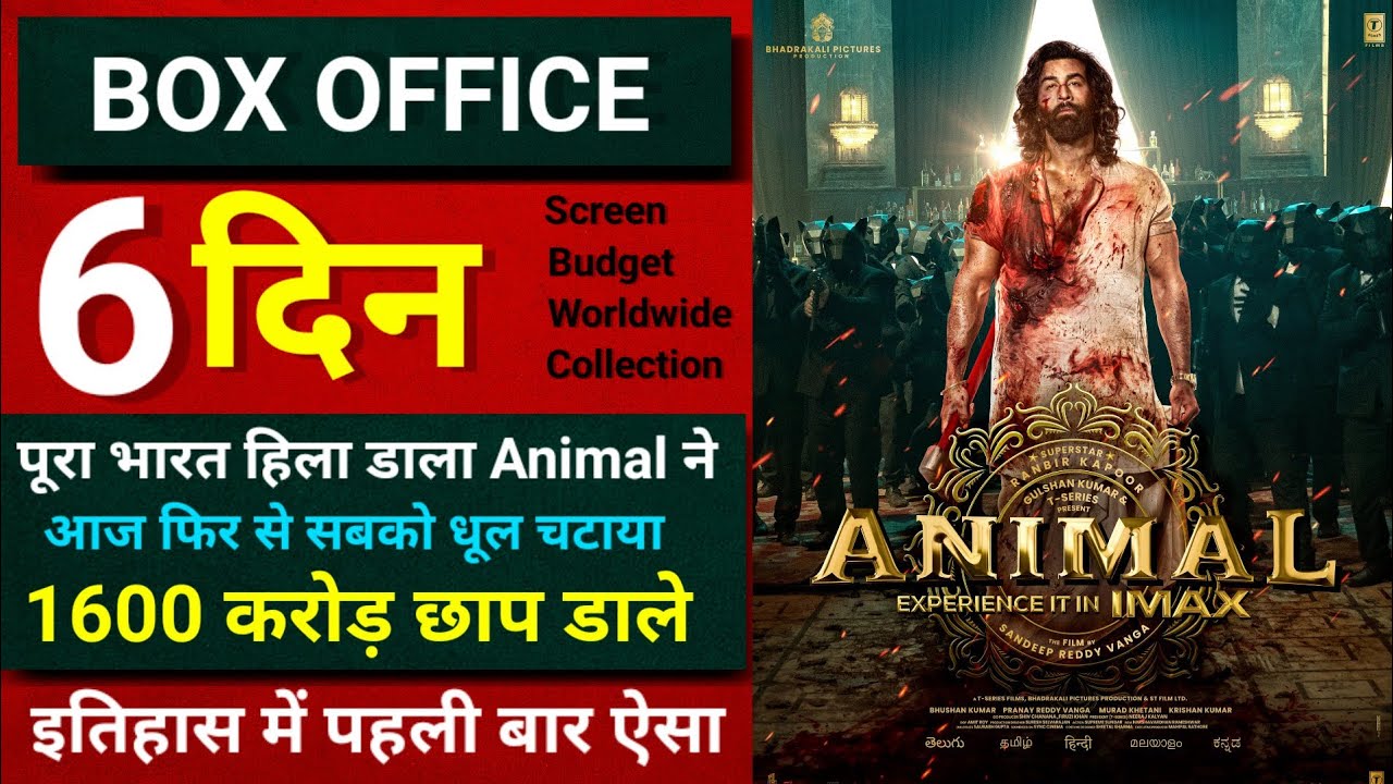 Animal Box office collection / animal day 6 collection / animal 5th day ...