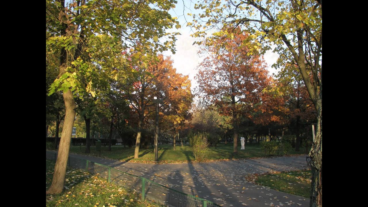 Peisaje de toamna in parc- noiembrie 2015 - YouTube
