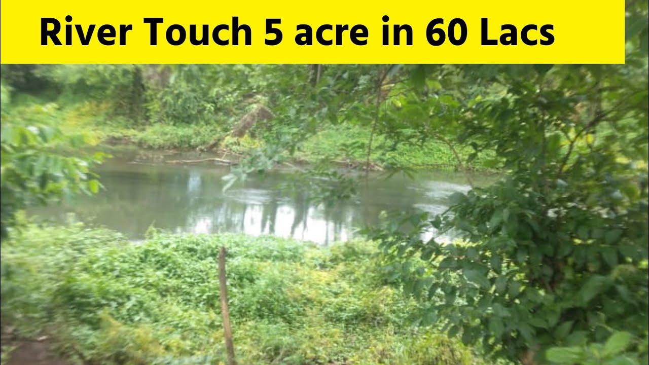 ID 147/125 River touch plot 5.5 acres in 60 lacs नदीला लागून जागा ५.५ ...