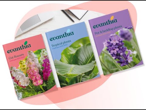 Evanthia | New catalogues - YouTube