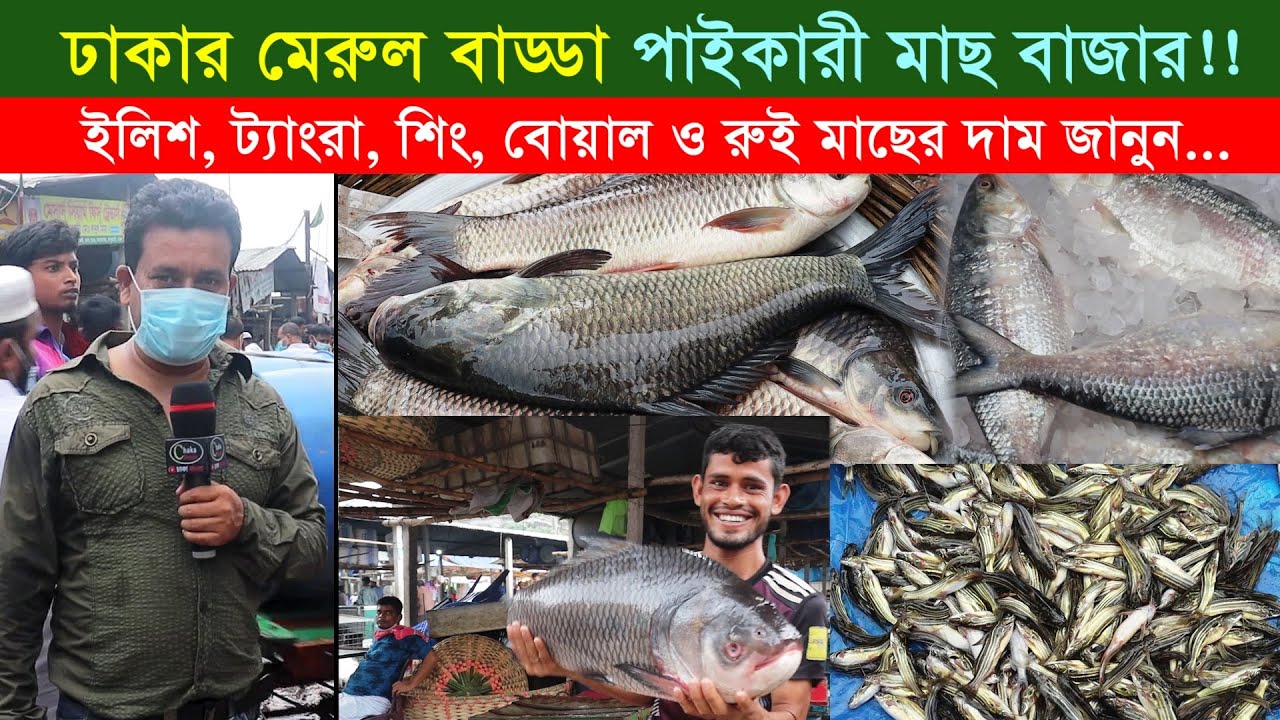 ঢাকার ঐতিহ্যবাহী মেরুল বাড্ডার পাইকারী মাছের বাজারে মাছের দাম কেমন ...