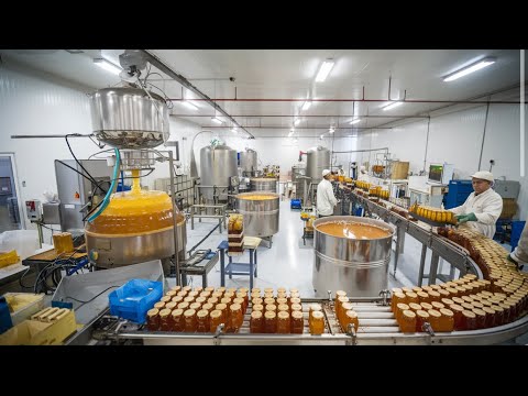How Honey is Made In Factory | Honey Factory Process - YouTube