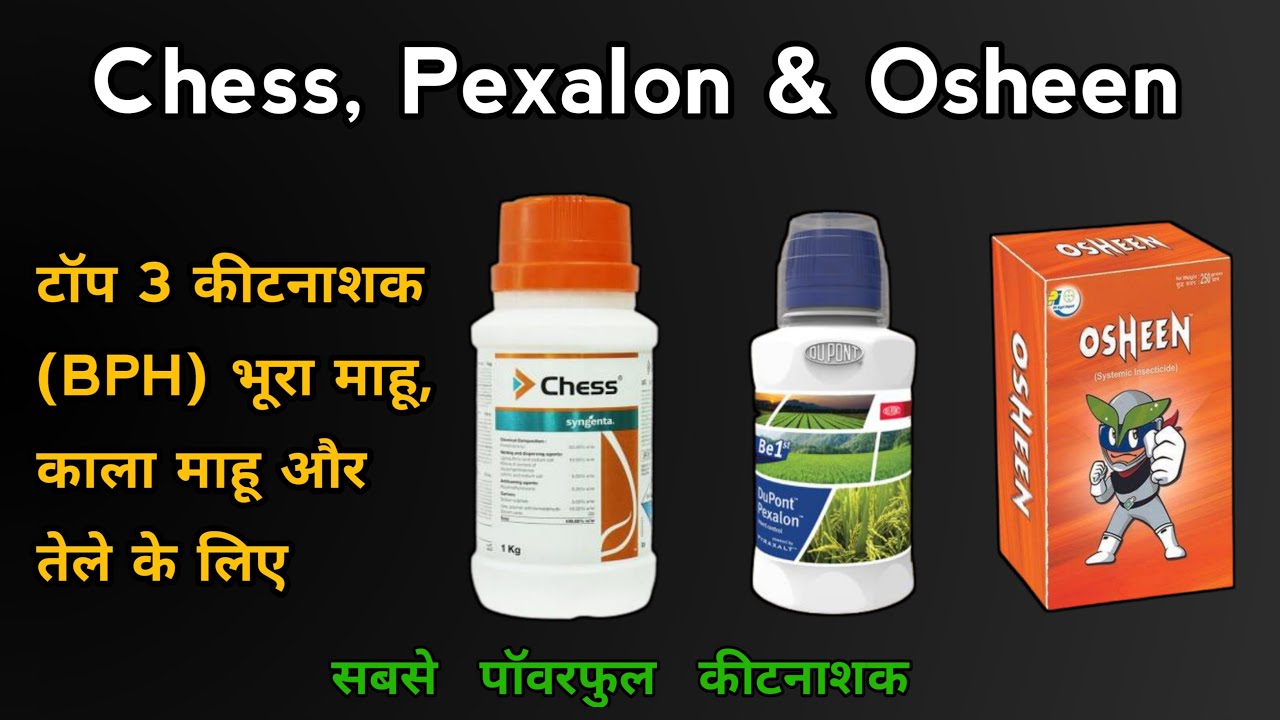 Syngenta Chess | Dupont Pexalon | Pi Osheen | Top 3 Insecticide for BPH ...