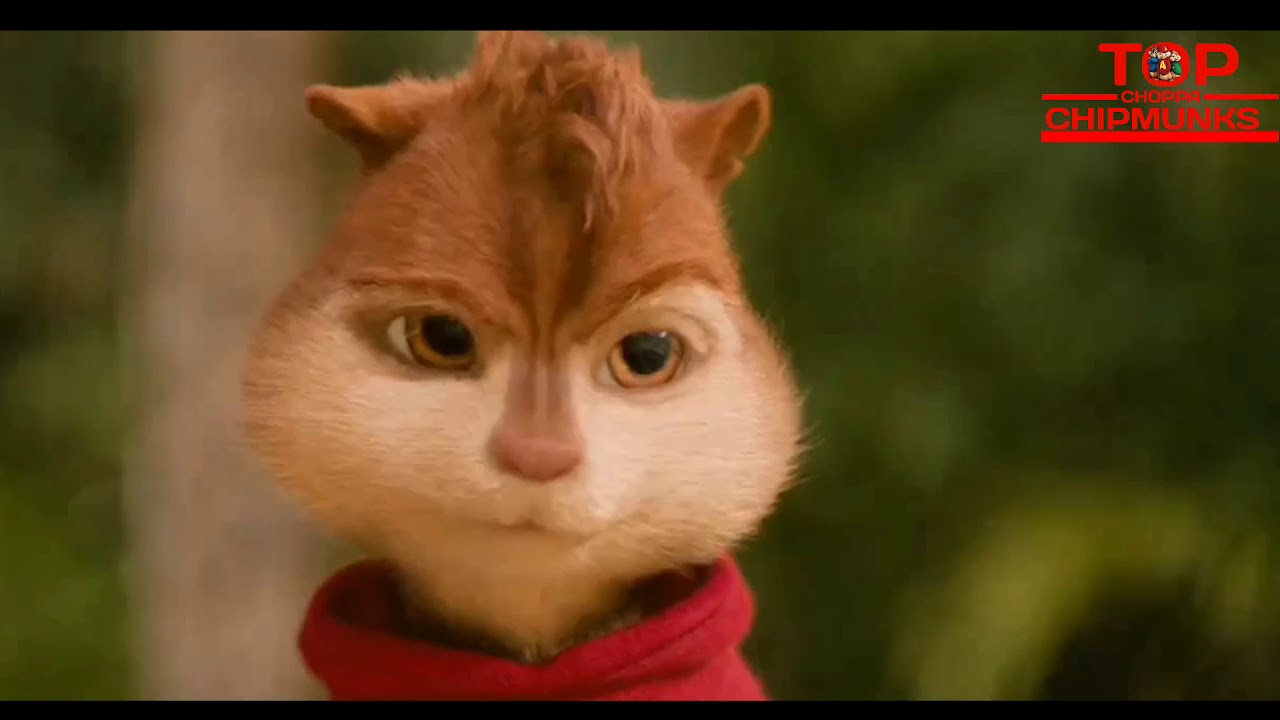 3k - As A Gyalis (official music video)Silver Rock Record - YouTube