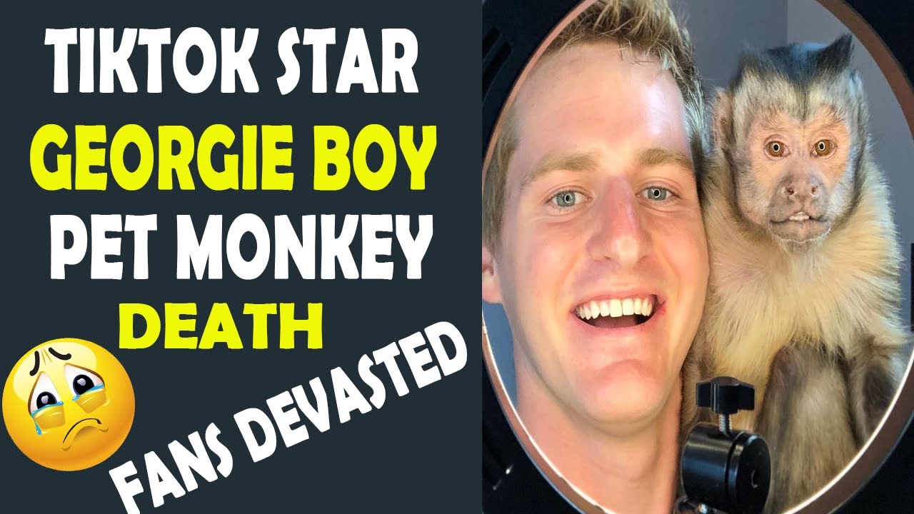 How did TikTok Popular Monkey George D!3D? TikTok Fans Devasted - YouTube