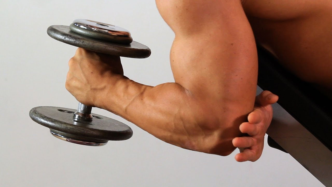 How to Do a Prone Hammer Curl | Arm Workout - YouTube