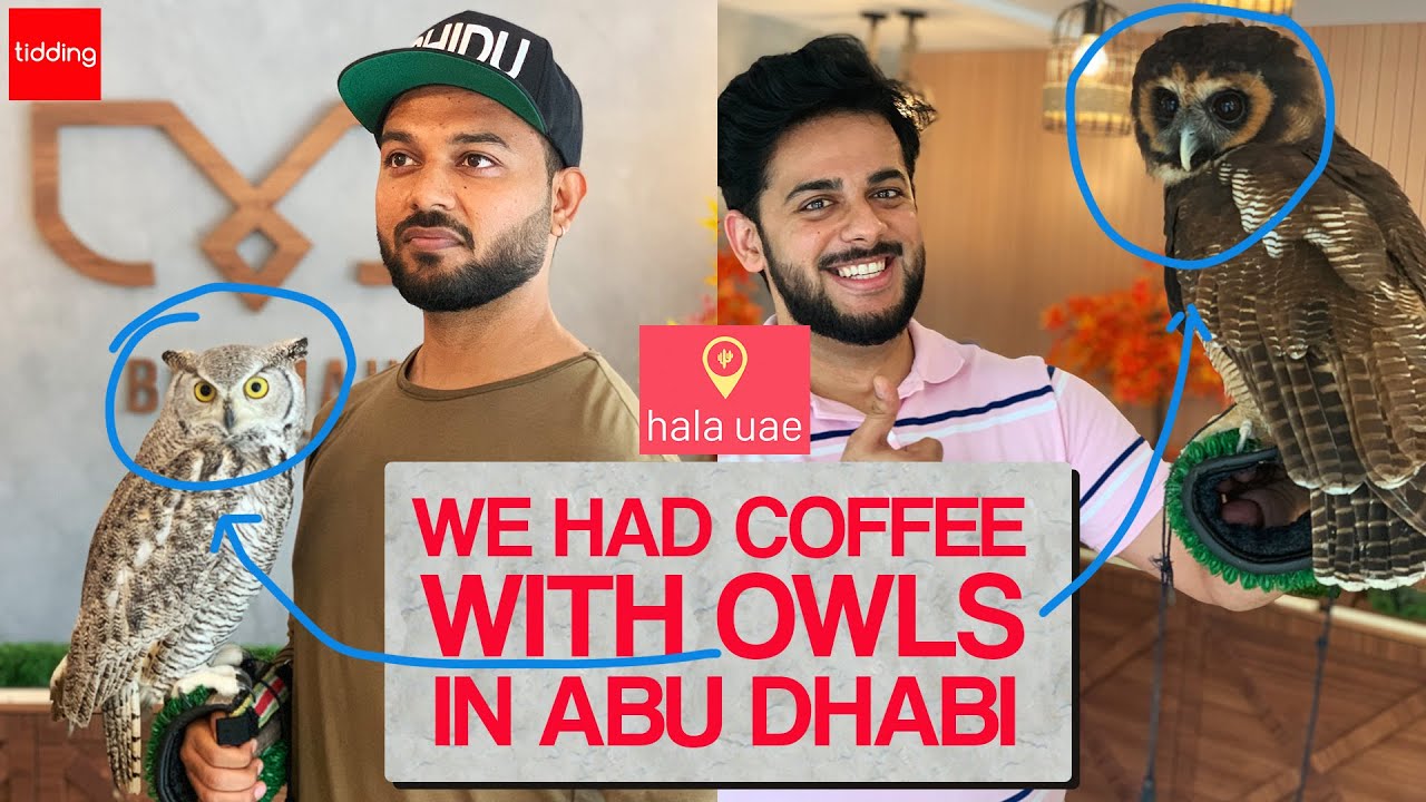 Hala UAE: The Owl Cafe In Abu Dhabi - YouTube
