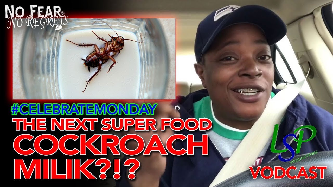Cockroach Milk ... A SUPER FOOD??? | LSP Productions - YouTube