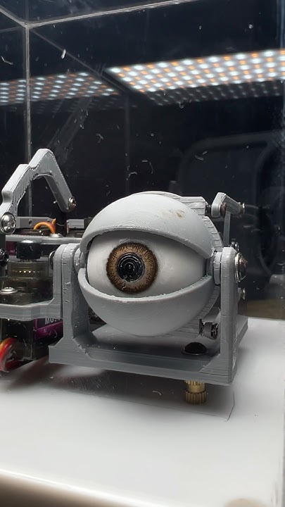 Animatronic EYE 3D printed #ender3 #arduinoproject - YouTube