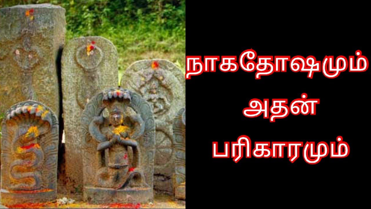 நாக தோஷம் என்றால் என்ன || naga dosham pariharam || naga dosham endral ...