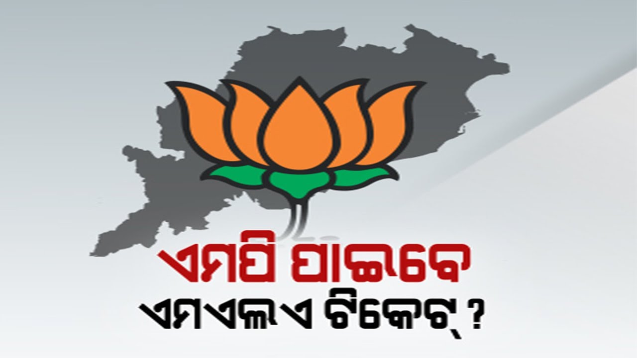 Bjps To Deploy New Strategy Ahead Of 2024 Election Mp Candidates May