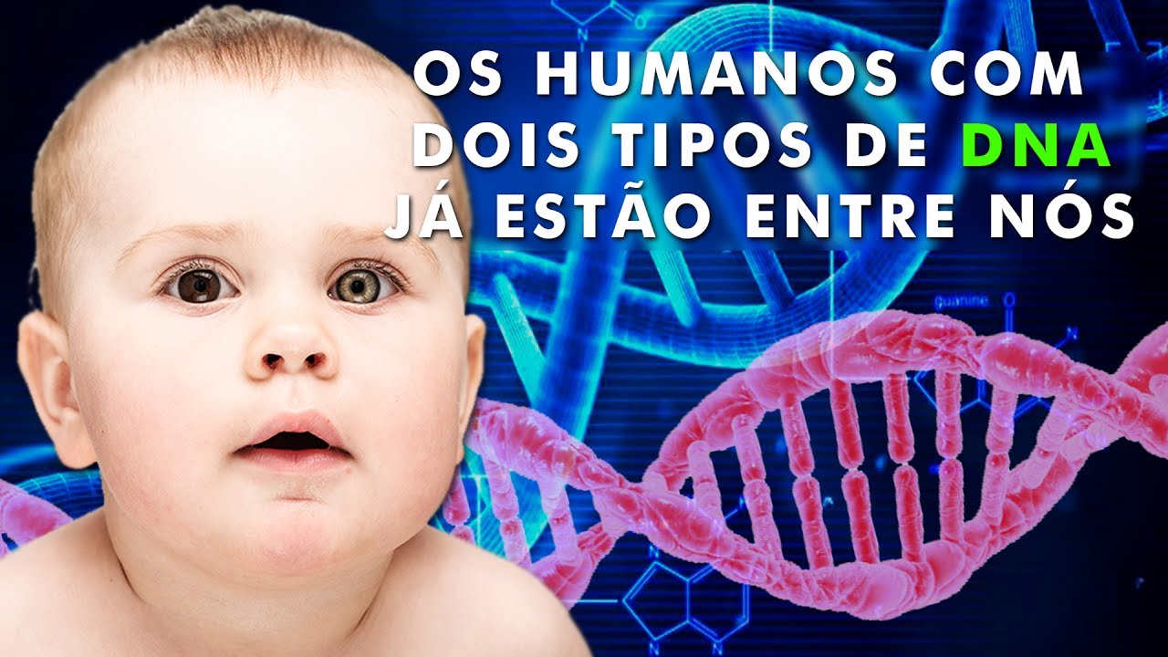 O que são as Quimeras humanas? - YouTube