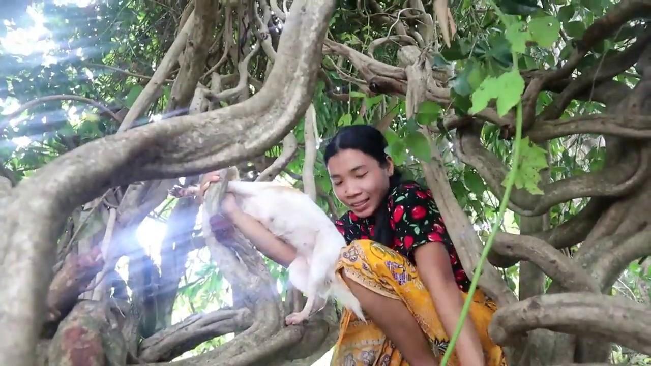 Pig Kidneys cook for food eating delicious - YouTube