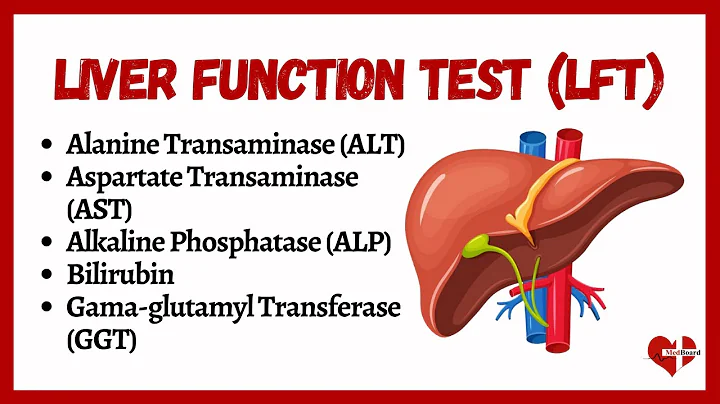 Liver Function Tests (LFTs), Animation | DayDayNews