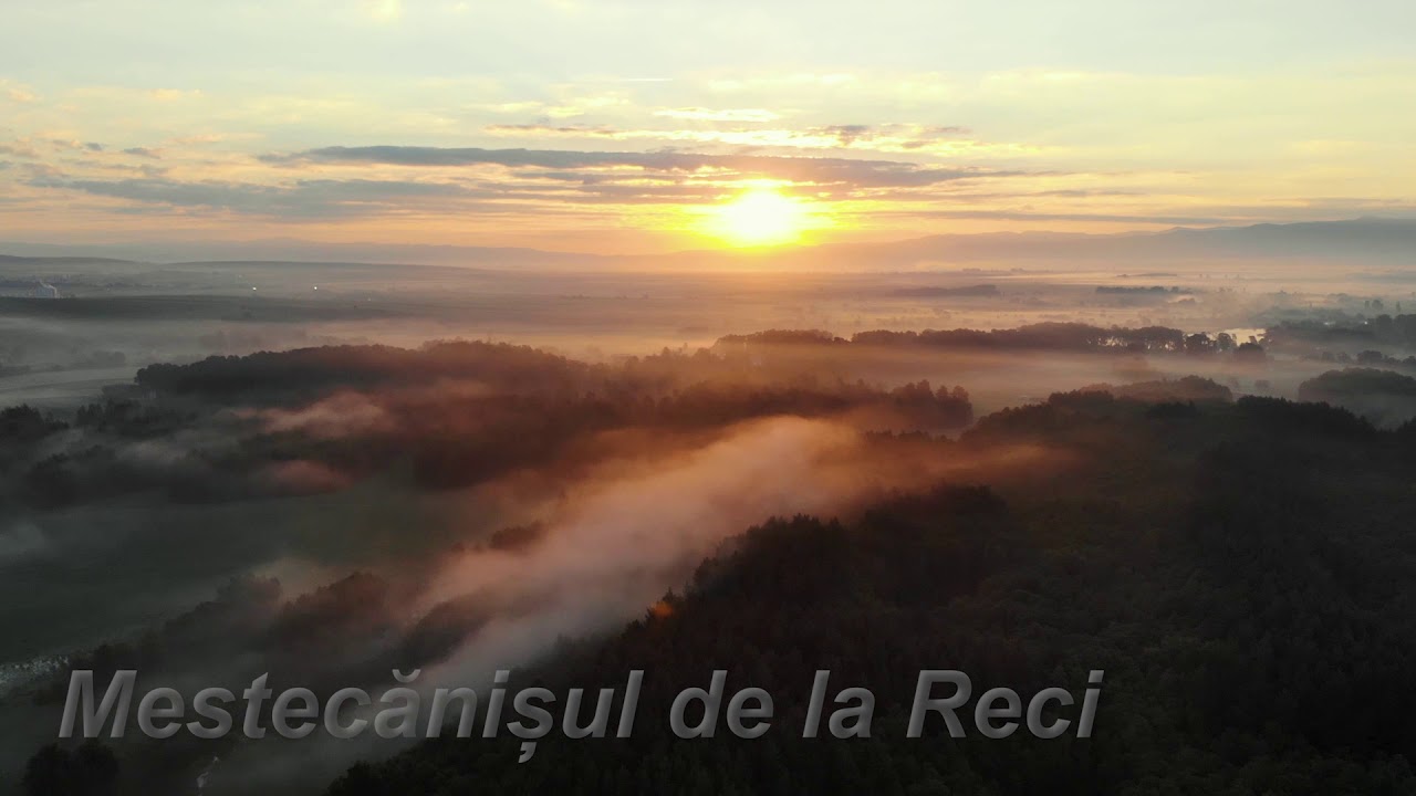 Mestecănișul de la Reci - YouTube