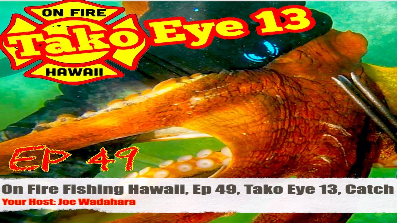 Ep 49, Tako Eye 13, Instant Pot Tako, How to find Tako Octopus ...