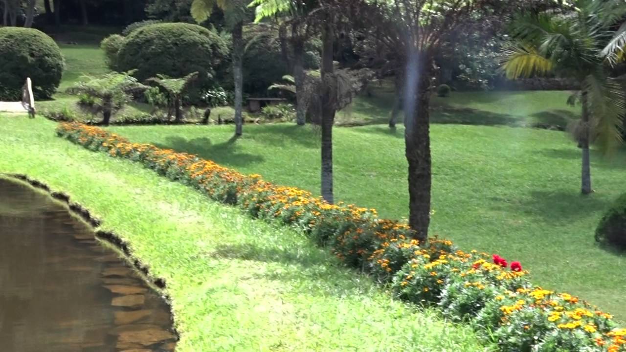 Vumba Botanical Garden Zimbabwe, 4 14 2016 - YouTube