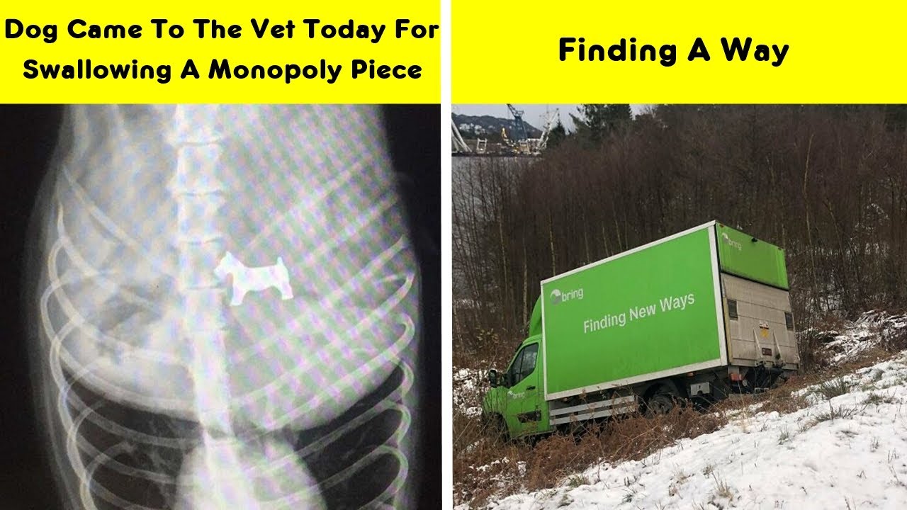 The Most Ironic Images That Show The Universe Has A Great Sense Of ...