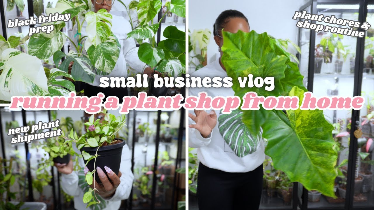 Running a Plant Store From Home🪴Indoor Plant Business Tips, Propagating ...