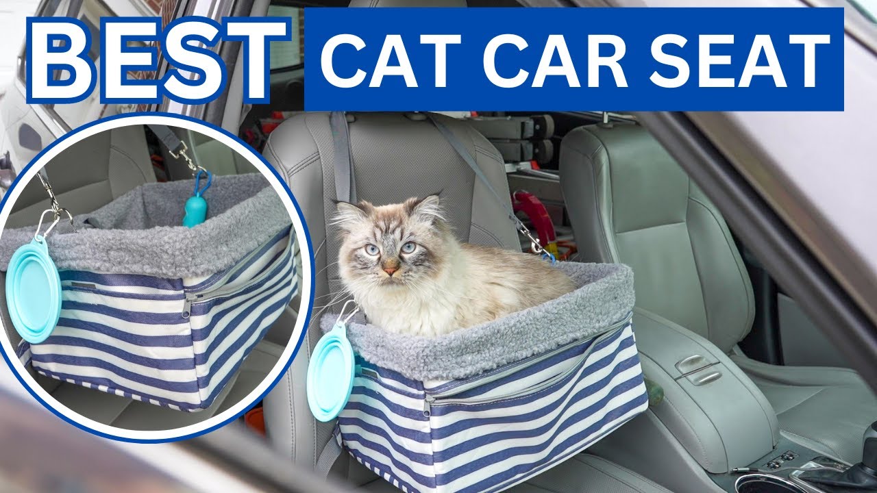 BEST CAT CAR SEAT (TO MAKE TRAVELING WITH YOUR CAT EASIER) - YouTube