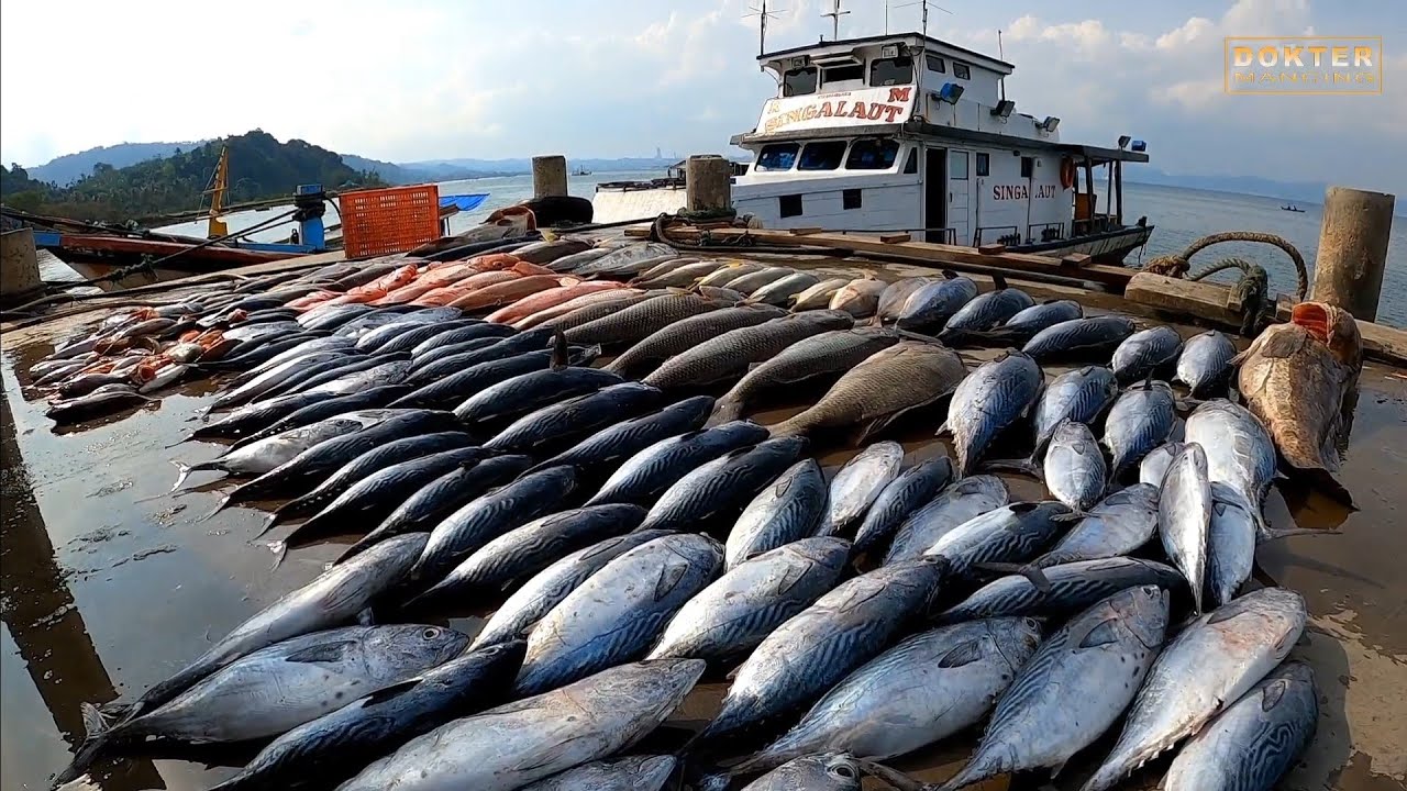 Mancing di Spot Legendaris SMR dan Gosong Pasir Lampung ‼️ Keluarga ...