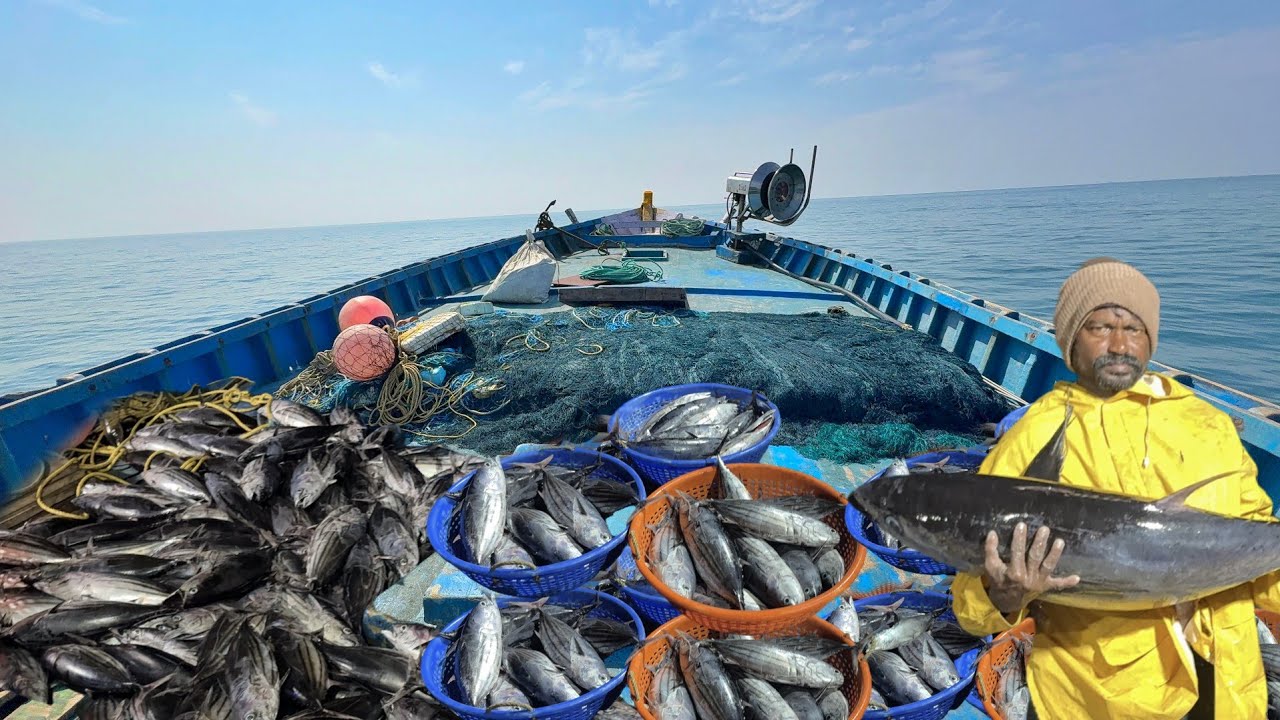 Amazing 🤩 First Day Great Day 💢 We Caught Ton of Tuna Fishes in Deep ...
