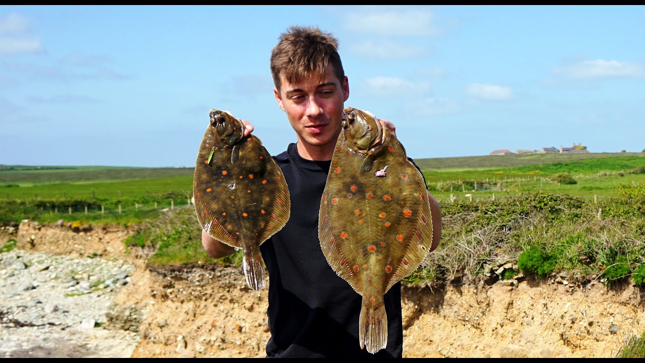 Spring Spearfishing for big flatfish (Isle of Anglesey) - YouTube