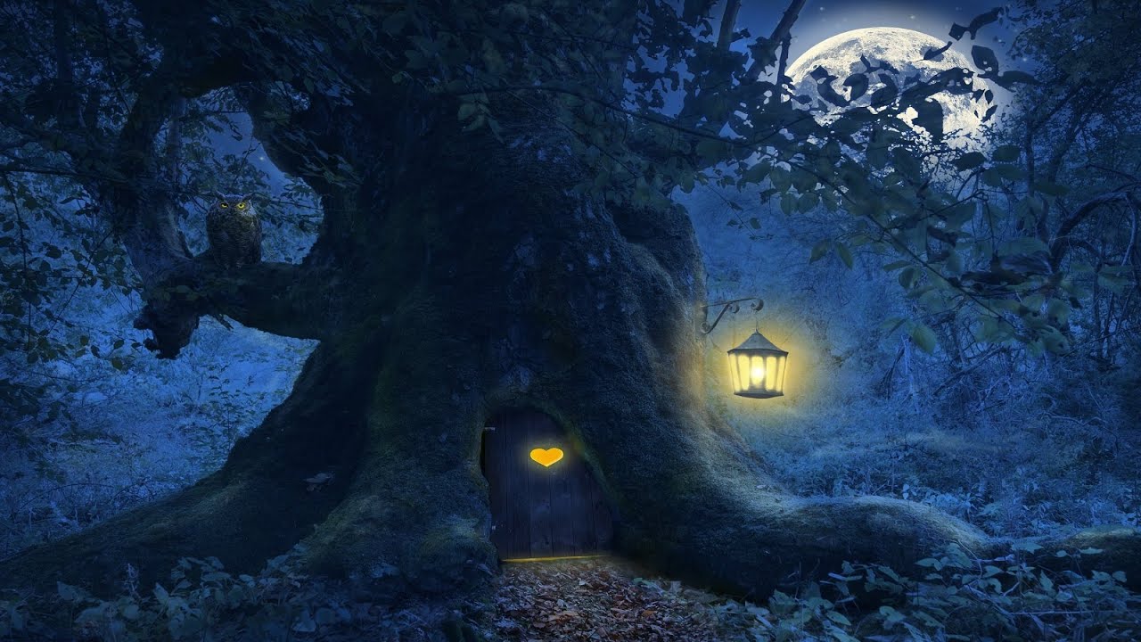 Relaxing Sleep Music – Moonlit Night of Rest | Soothing, Magical - YouTube