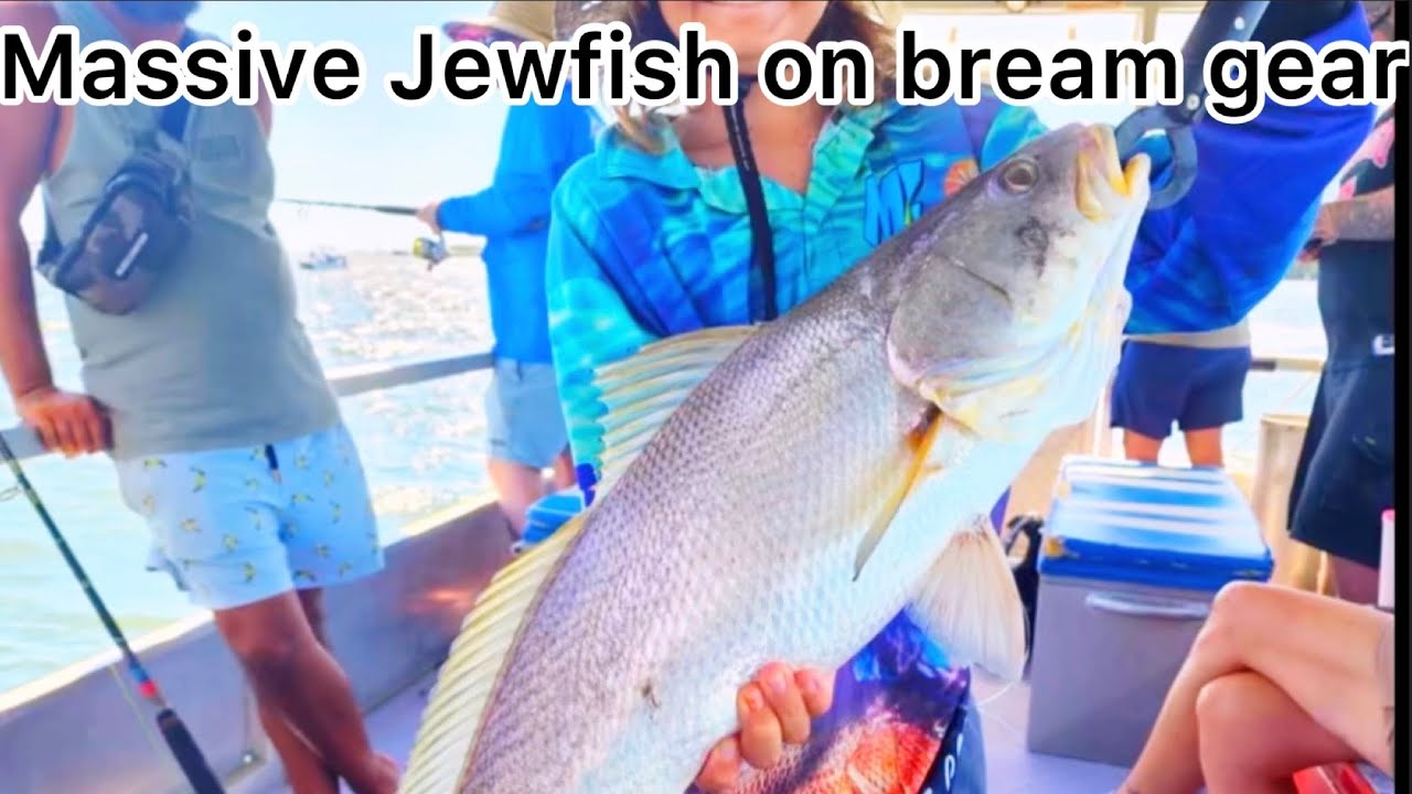 Monster Jew fish in cairns | Fysh Lur - YouTube