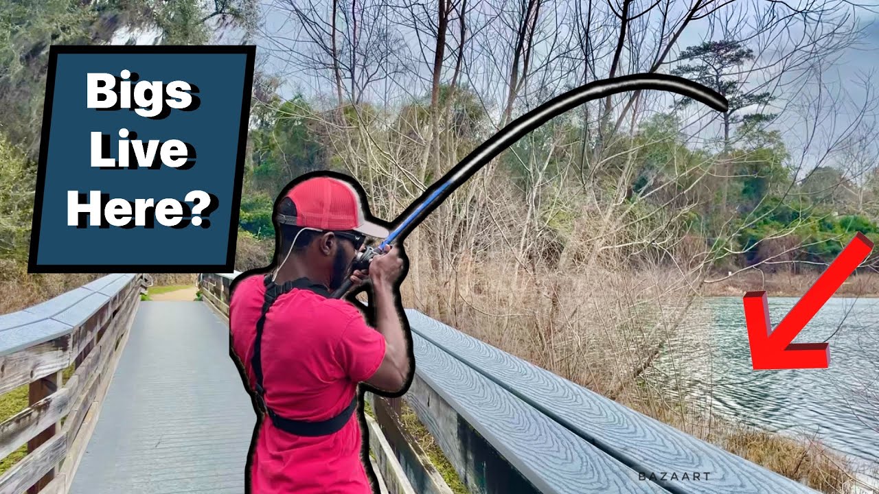 Fishing Florida Ponds For Big Fish(Spring fishing) - YouTube