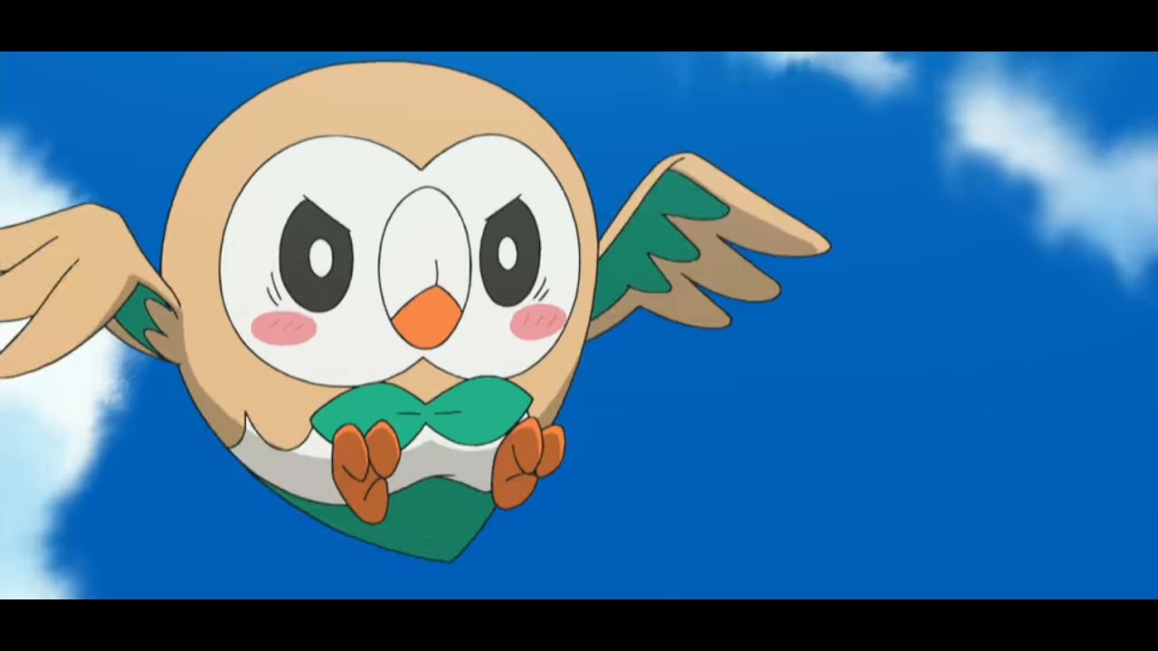 Rowlet thought Bounsweet is a fruit - YouTube