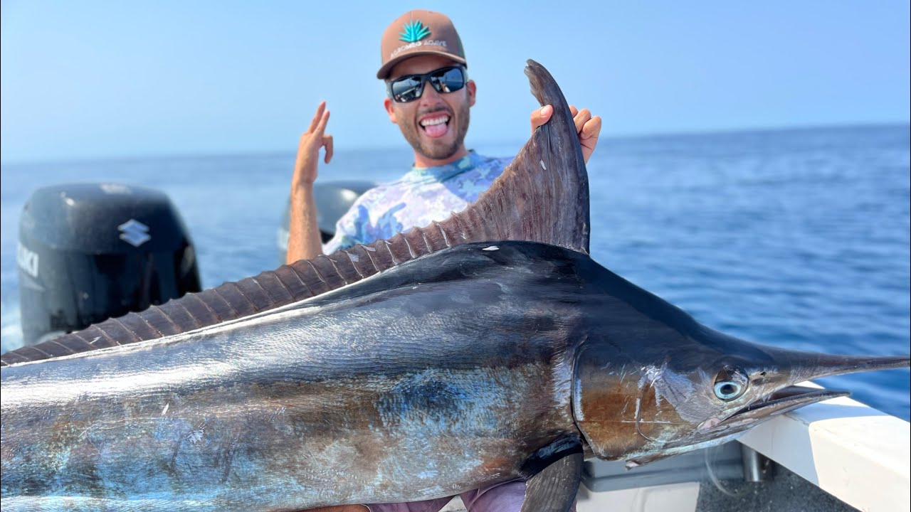 Marlin, yellow fin tuna and sail fish on an overnight trip. - YouTube