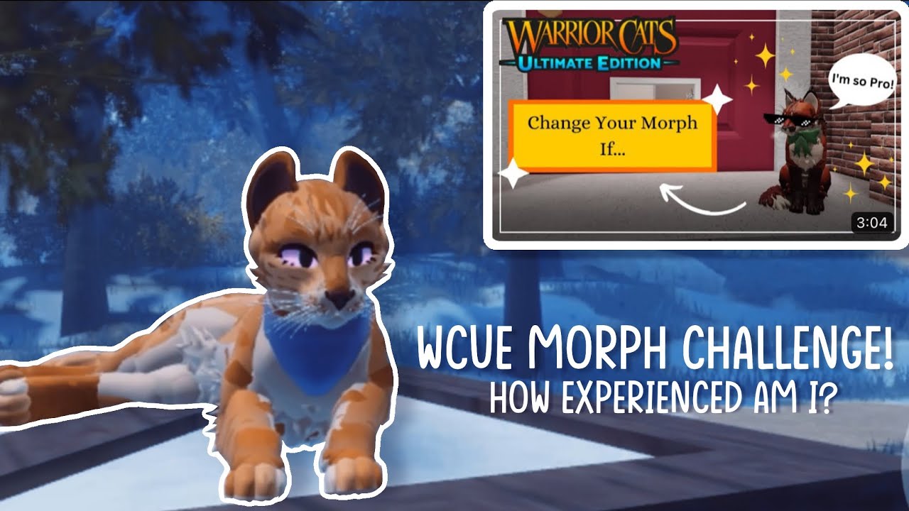 How Experienced of a WCUE Player Am I? @LuckyFox #wcue #fyp - YouTube