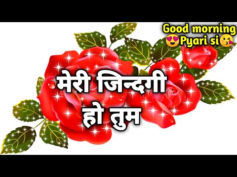 Meri jindgi ho tum | Good morning love shayari Romantic whaatsapp status GIF video