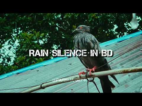 🌿 Beautiful Nature View 🌄 | Peaceful Natural Scenery | Relaxing Nature Shorts #shorts