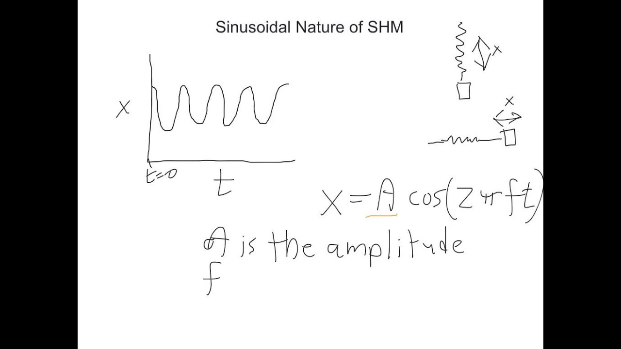 Sinusoidal Nature of S.H.M. - YouTube