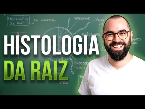 Histologia da Raiz - Aula 09 - Módulo 5: Botânica