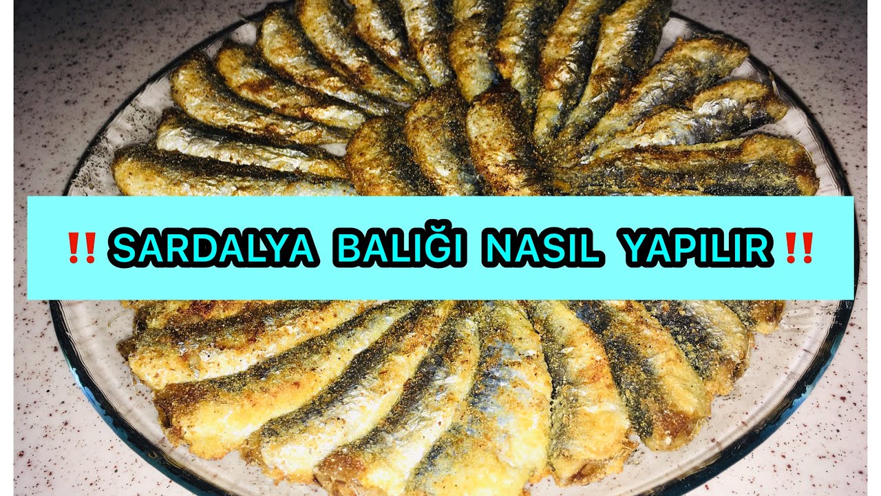 KOKUSUZ SARDALYA BALIK TAVADA NASIL PİŞİRİLİR | SARDALYE BALIK TARİFİ ...