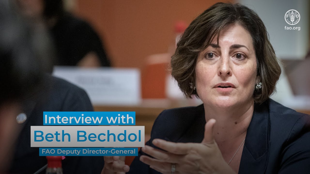 FAO’s response to the post-ceasefire recovery in the Gaza Strip ...